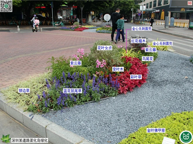 交通岛、道路、花境：深圳道路渠化岛绿化(2022年1月)-花瓣网