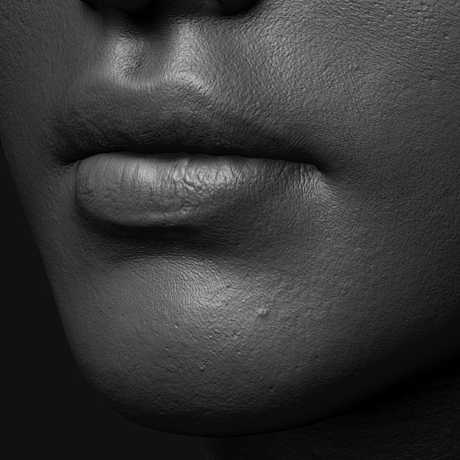 Skin Shading Practice I, Ryan Reid : A practice learning skin surface ...
