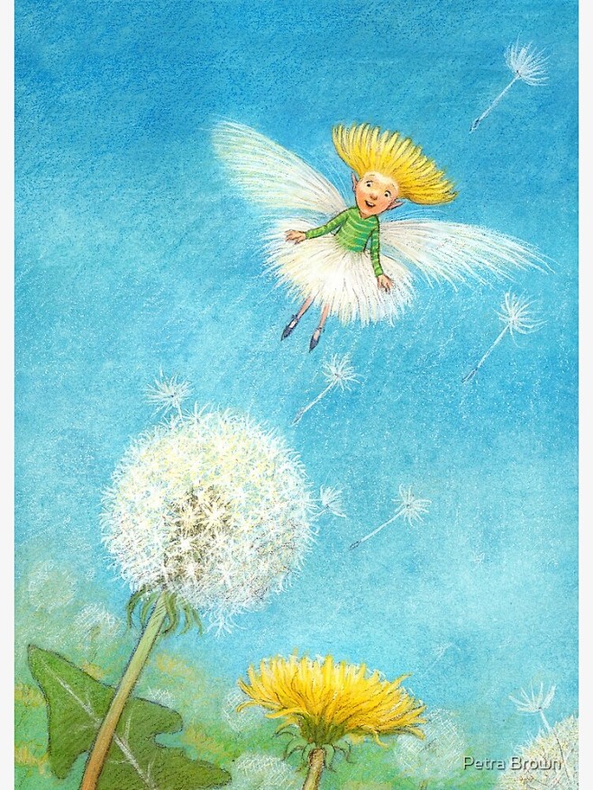 Gallery Preview-花瓣网