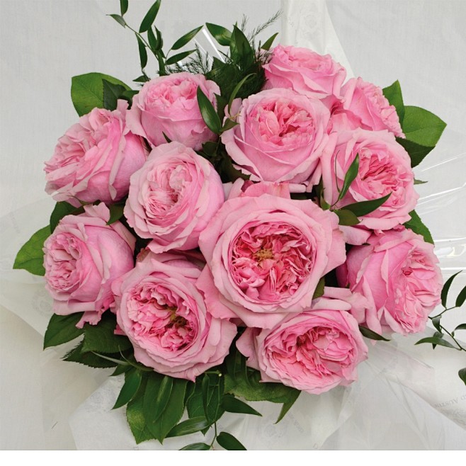 凯里，英文名Carey，2013年 英国培育，属于切花月季Cut Roses，传统花型，杯状、四等分，很多皱褶的花瓣充斥花心， 颜色为中粉色 ...