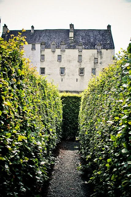 The maze at Traquair House, Innerleithen, Scotland.图片_踽踽独行图片素材-花瓣网