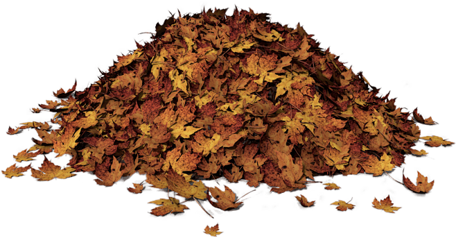 秋叶 枯叶 落叶 一堆秋叶枯叶