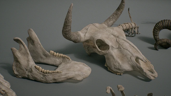 Bones (UE5)-花瓣网