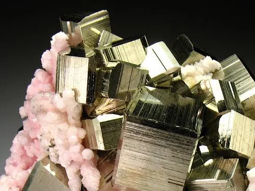 kuangshi (3292)-花瓣网