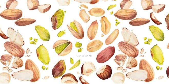 NUTS on Behance-花瓣网