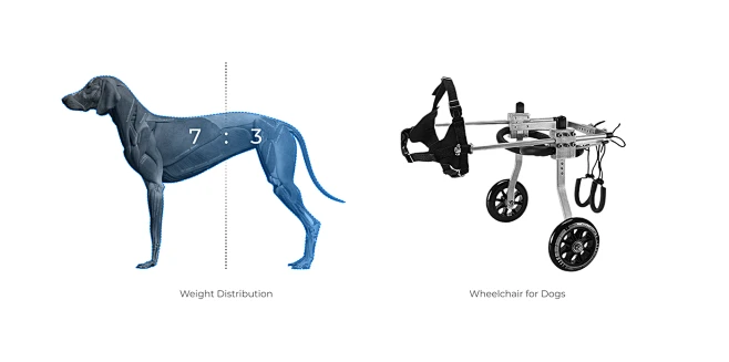 design product design Wearable robot petcare Walking assistant ...