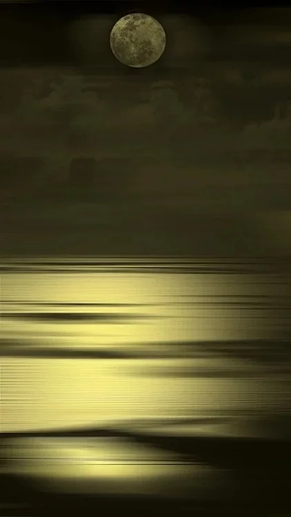 pc_680_webp.webp (59)-花瓣网