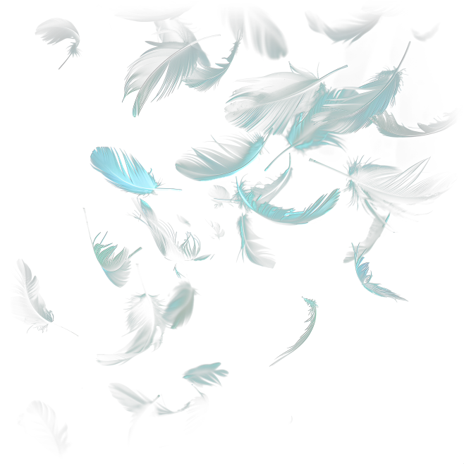 Colored Feather Overlay_Walllow_02