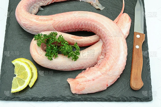 salmonette素材-花瓣网