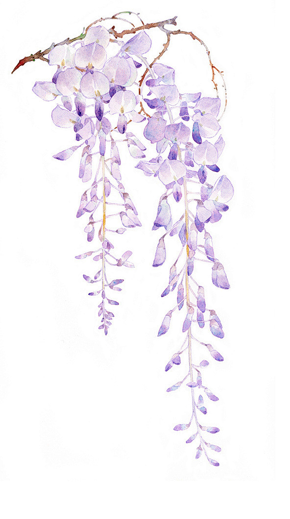 [1] LOFTER（乐乎） - 让兴趣，更有趣-花瓣网