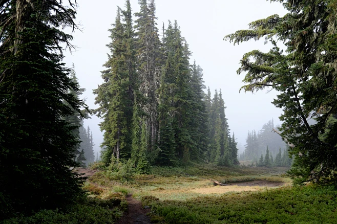 花瓣灵感详情页-花瓣网