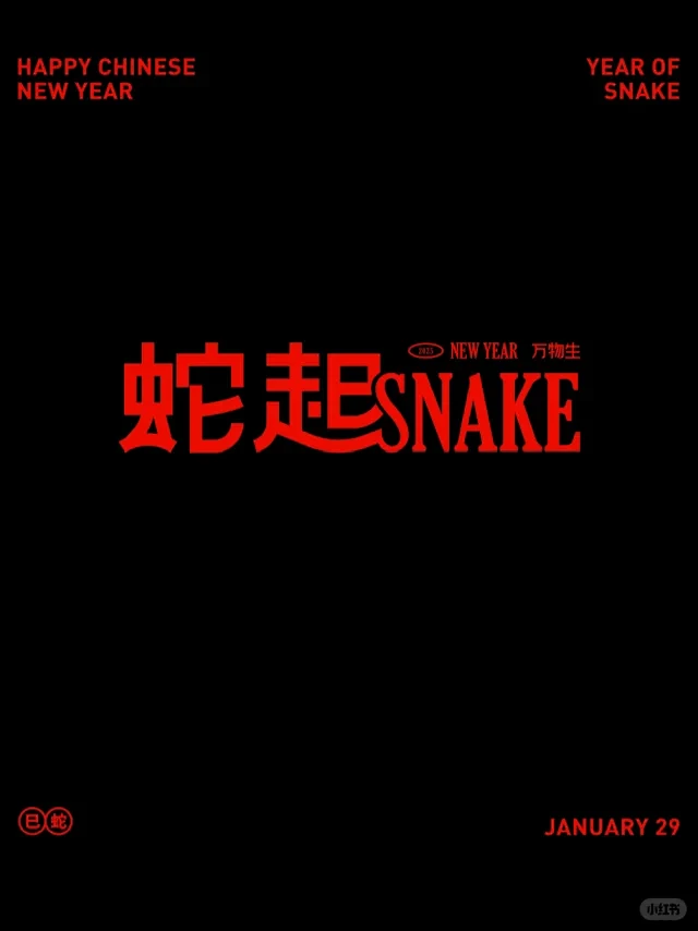 蛇年礼盒 - 小红书搜索-花瓣网