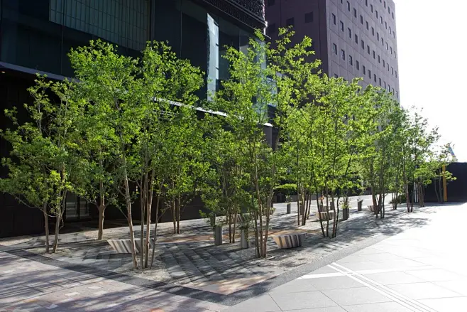 东京大手町商业区 星のや東京 by studio on site-mooool设计图片_林 片林图片素材-花瓣网