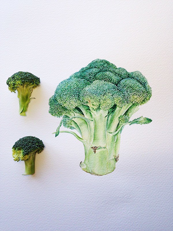 Vegetables illustrations : Set of my vegetables illustrations from ...