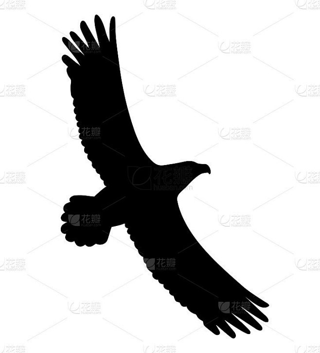 鹰飞。矢量黑色绘制剪影图像。