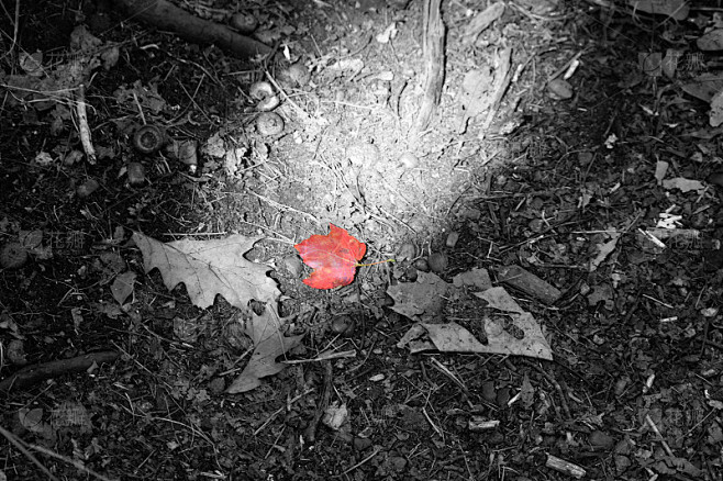 Wapack跟踪新的Ipswitch