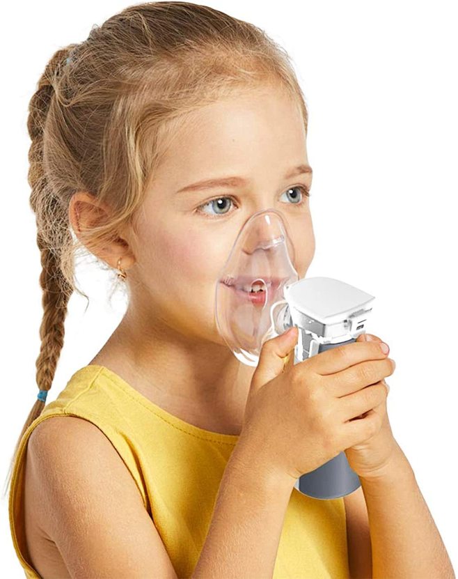 Amazon.com: igingko Portable Handheld Mini Sprayer Humidifier for ...
