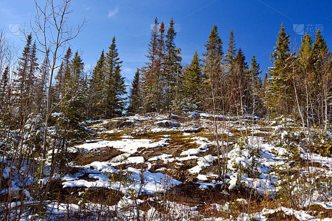 第一次落在加拿大森林的山上