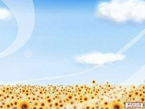 ppt背景图片_360图片搜索-花瓣网