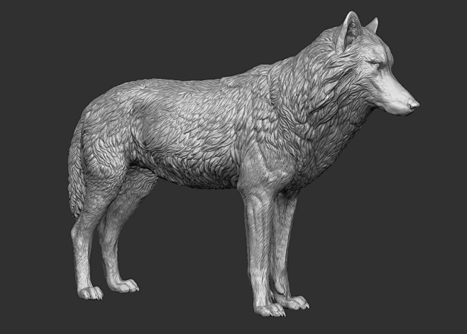 alpha-models-1-花瓣网