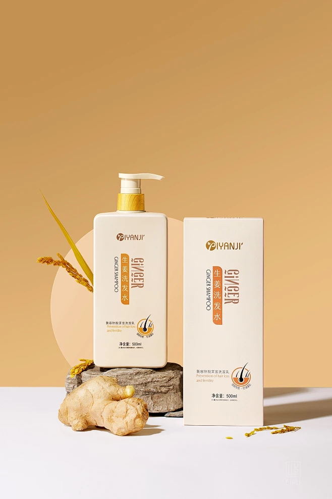 DM_20240423104707_006