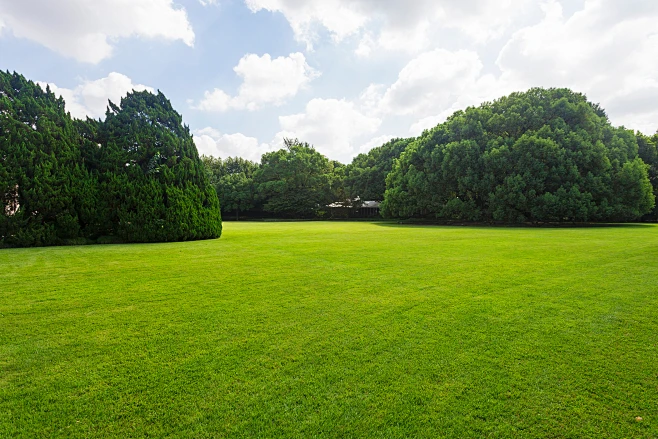 VCG21gic20074237-花瓣网