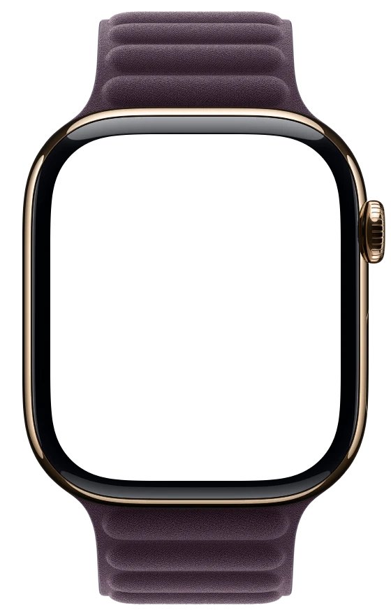 Apple Watch S10 - 46mm - Titanium Gold + Magnetic Link Blackberry-花瓣网