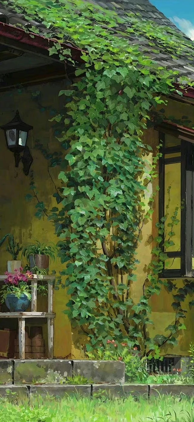 花瓣灵感详情页-花瓣网