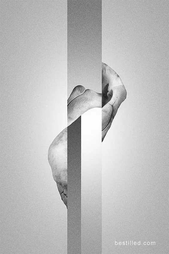 Elephant bone collage on rectangles. Surreal abstract art in black and ...