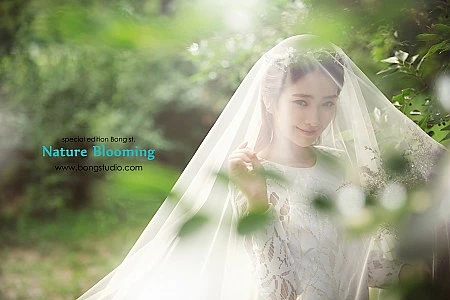 2016 Nature Blooming-花瓣网