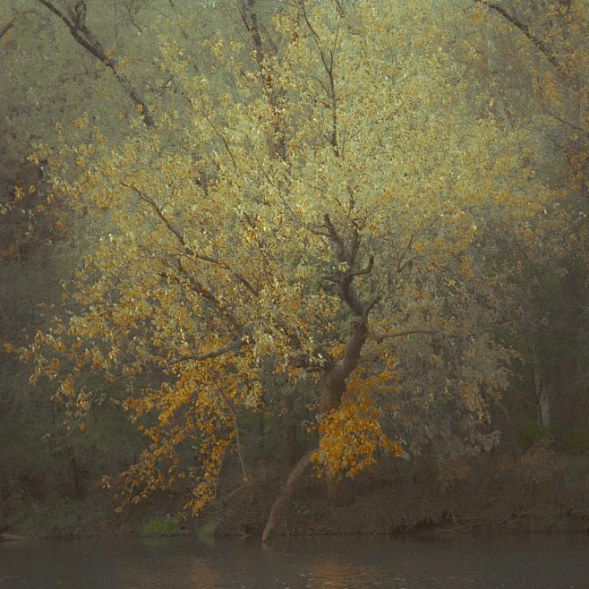 Summer Wagner-花瓣网