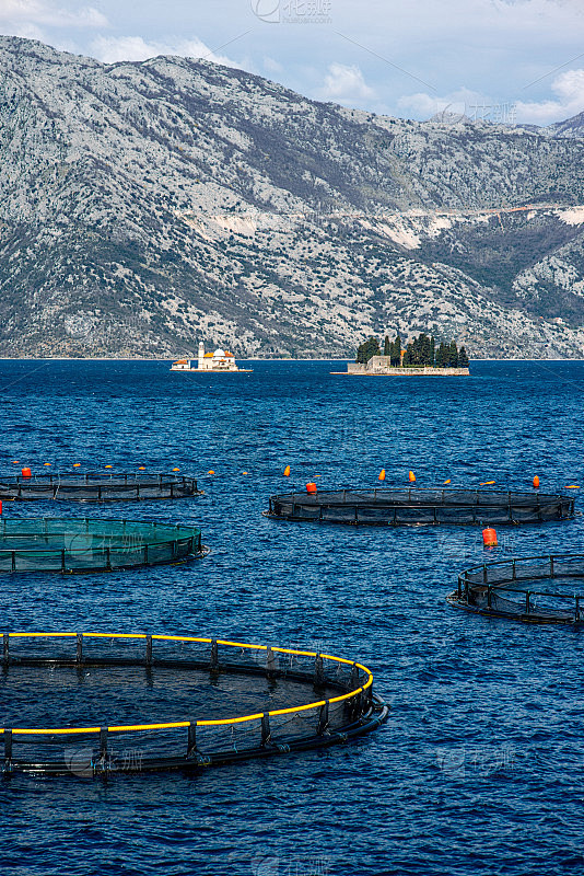 科托尔湾的渔场