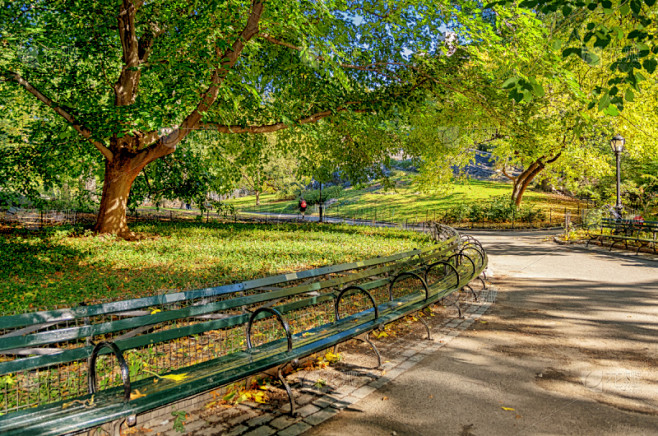 纽约,中央公园,风景,宁静,美,公园,长椅,水平画幅,无人,周末活动