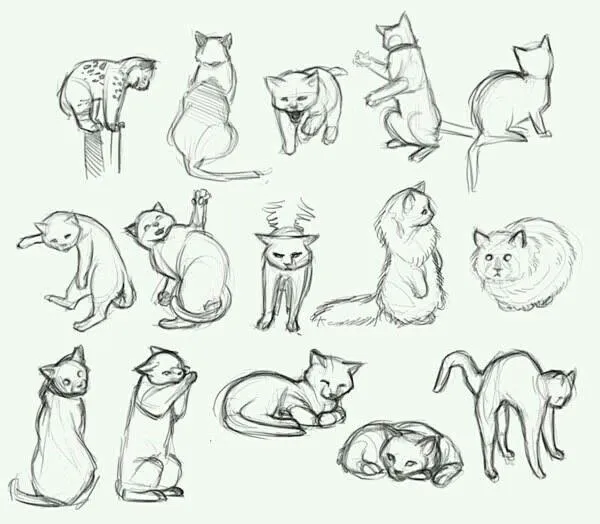 Cat Hand Drawing | Cat Drawing-花瓣网