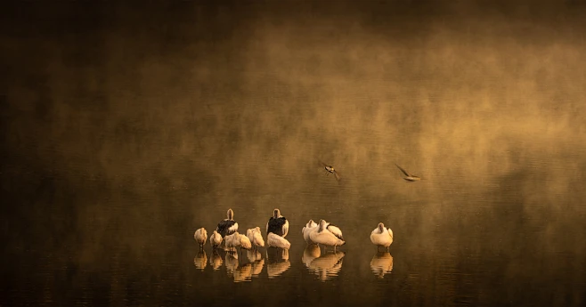 Misty Morn by Grant Galbraith : 1x.com is the world's biggest curated ...