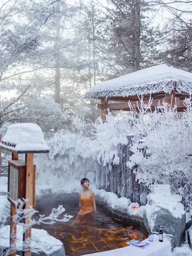 雪地温泉 - 小红书搜索-花瓣网