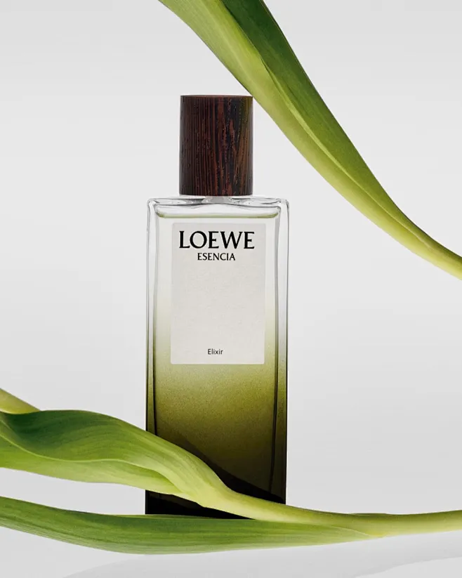 LOEWE Esencia Elixir Eau de Parfum expands on the original fragrance ...