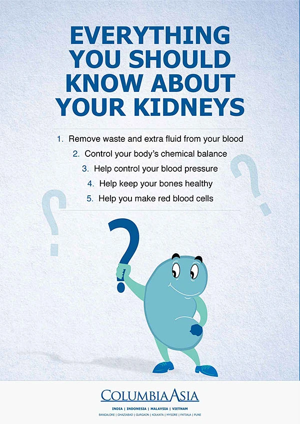 World Kidney Day Posters - Columbia Asia Hospital : To create a set of ...