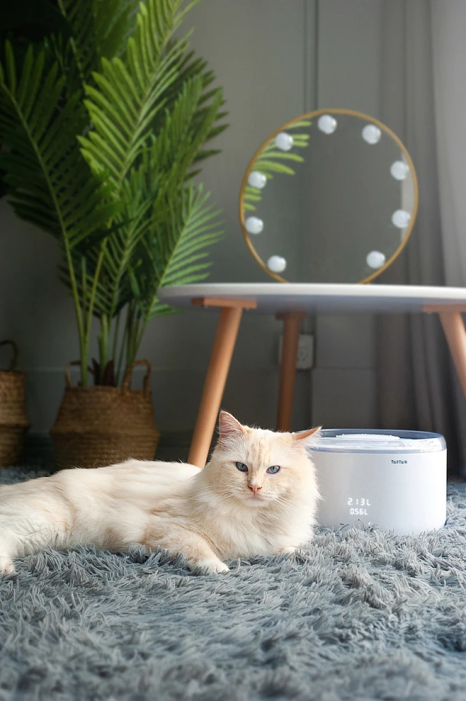 宠物产品拍摄 TailTalk麻球说宠物智能饮水机_太空狗视觉_【68Design】图片_动物/素材图片素材-花瓣网