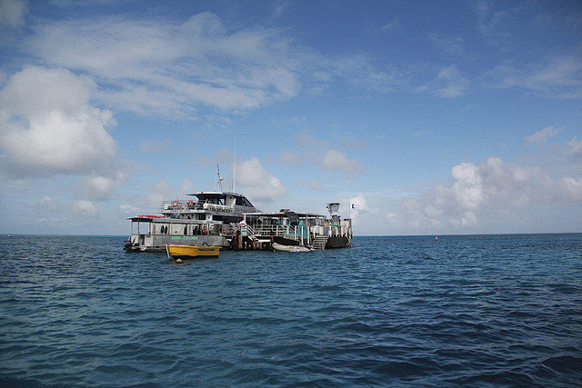 Lady Musgrave Island (142)