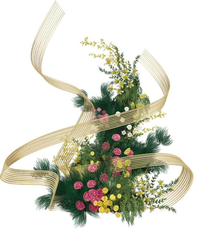 h136-花瓣网