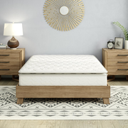 Signature Sleep Mattresses | Inspiration 10 Inch Independently Encased ...