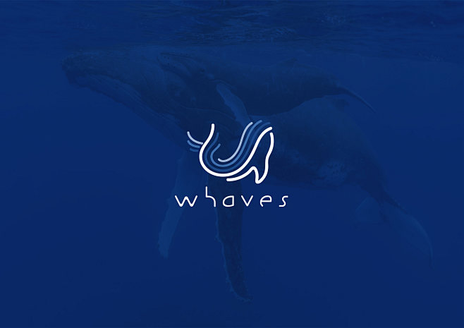 Whale Inspired Logo Design - Whaves