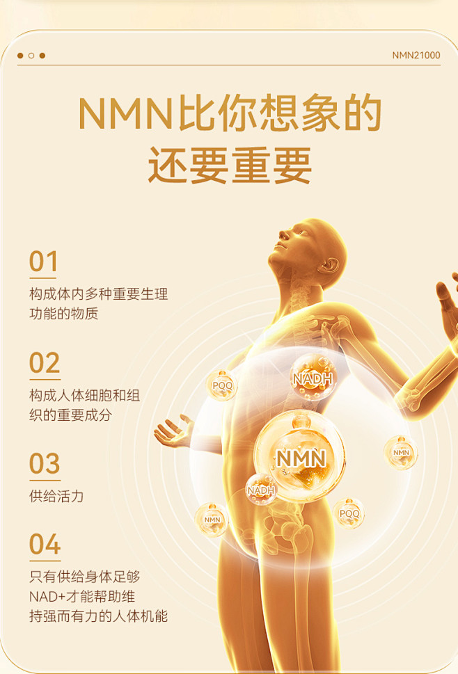 【自营】Aneoktur原装进口nmn21000抗烟酰胺单核苷酸衰老nad+官方-tmall.com天猫