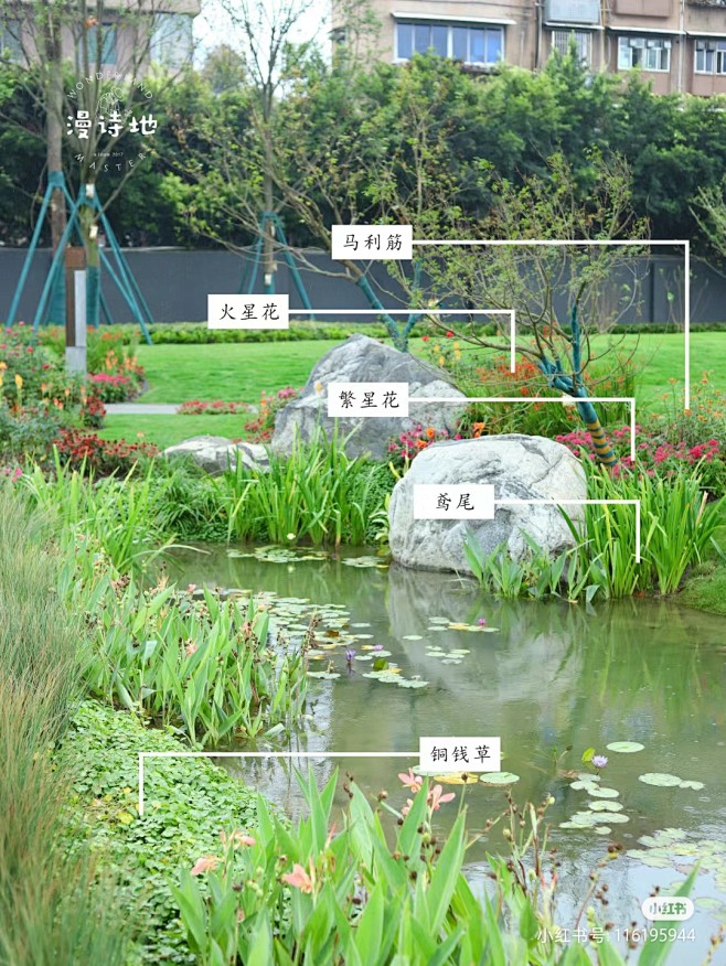 Camera_XHS_16889711025821000g0082p8heg8ujs06g49ickhbvgqn5rka4oc0