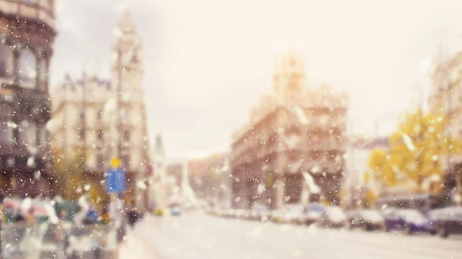 camel旗舰店-花瓣网