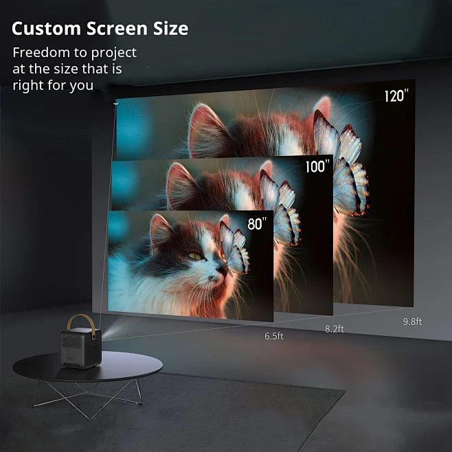 Amazon.com: WEMAX Dice 1080p Mini Portable Projector 4K Supported for ...