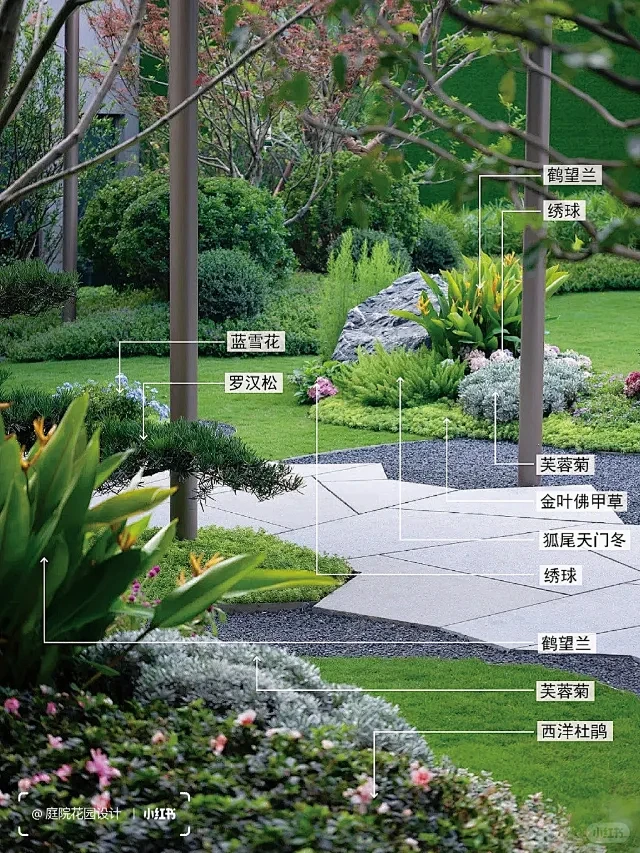 花镜植物搭配 - 小红书搜索-花瓣网