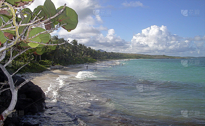 Pointe Macreé，马提尼克岛，法国