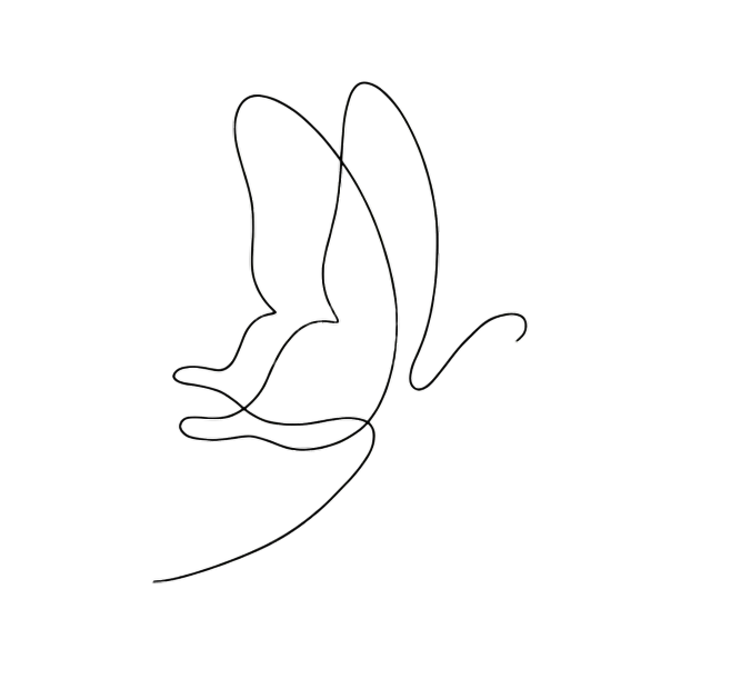 蝴蝶线条-花瓣网